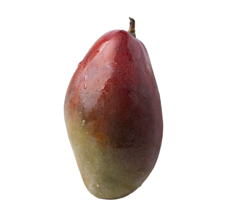 Mangue variété Osteen | serenityfarm